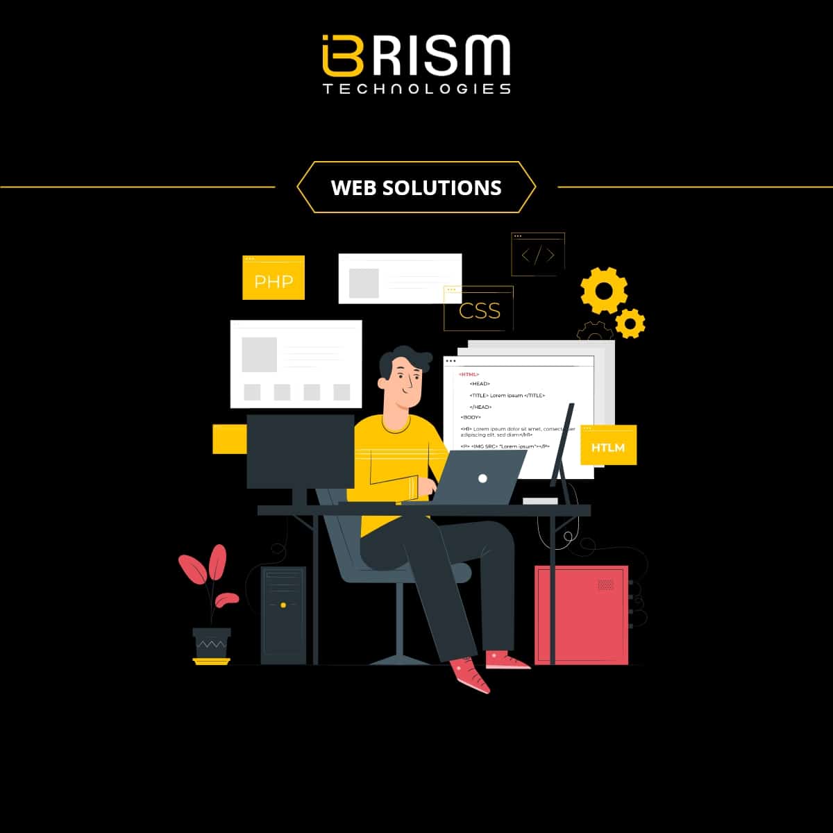 Web Solutions - ibrism Technologies Your Web Outsourcing Partners